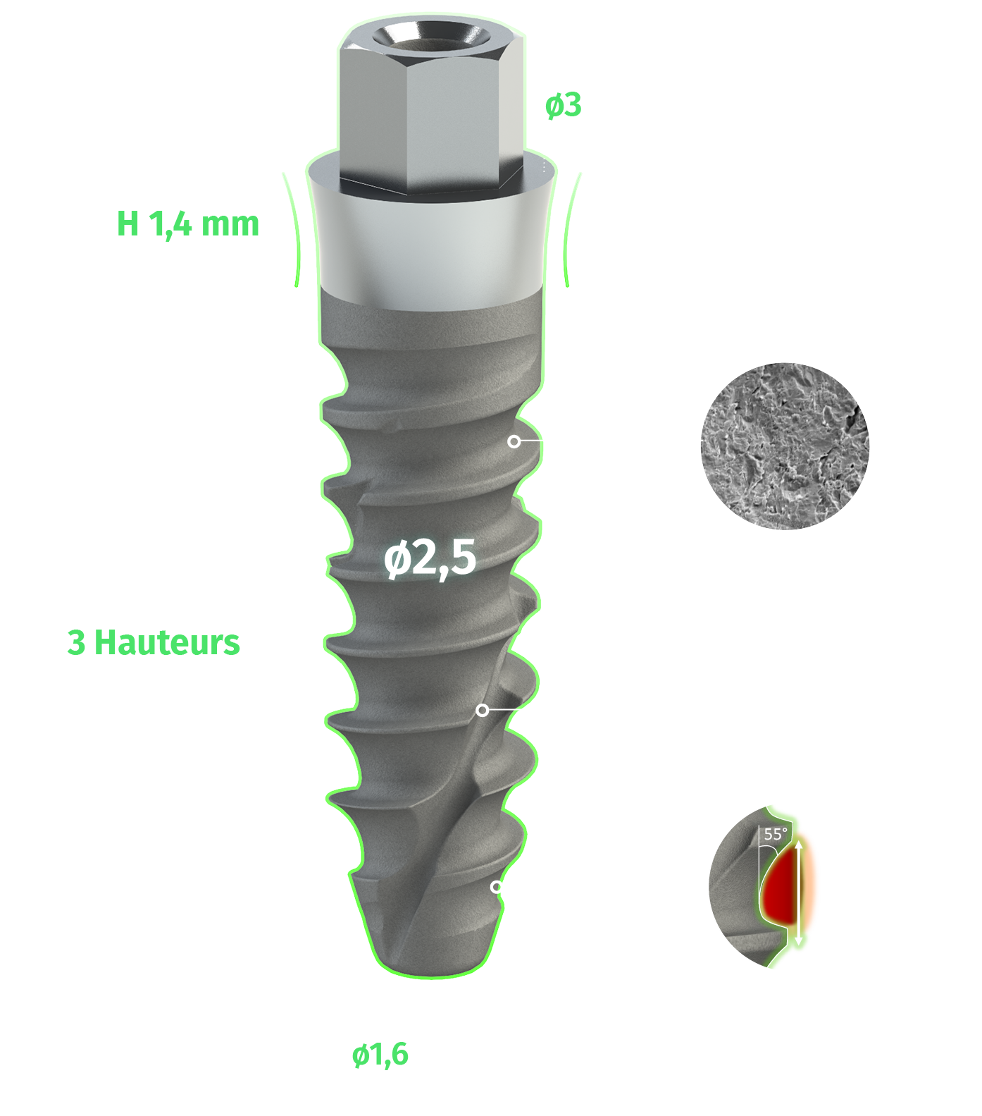 Master Mini – Easy Implant